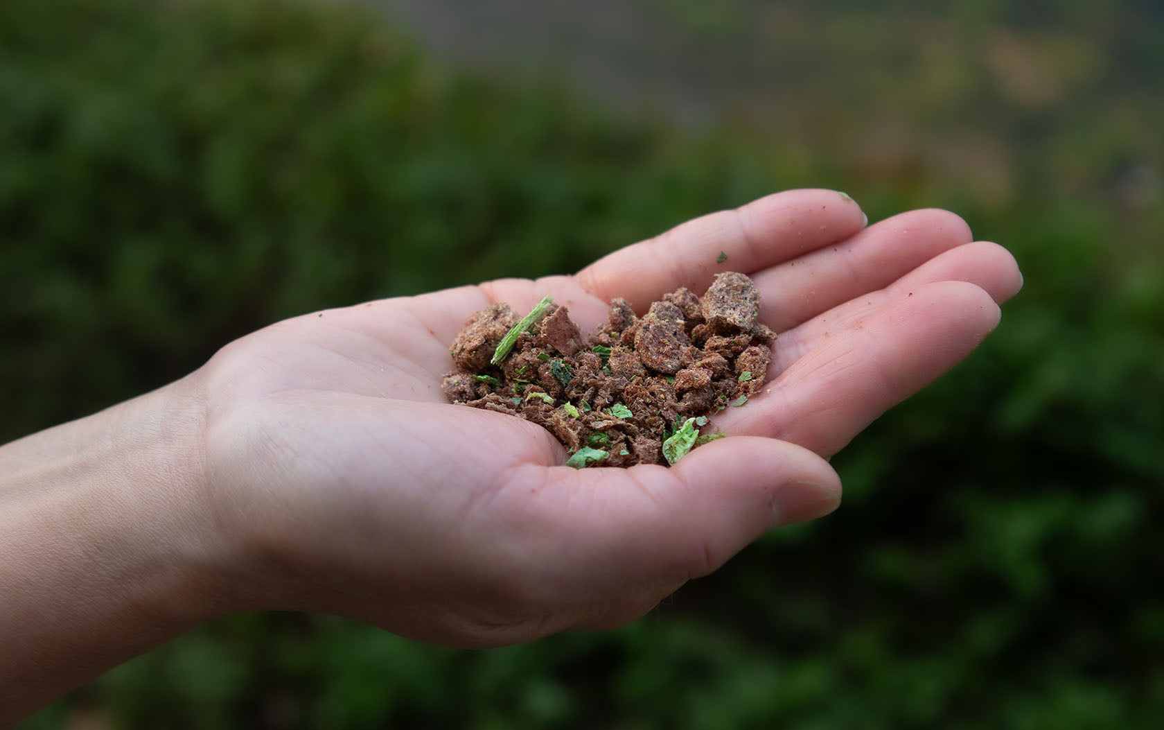 What is Ruff Food? | Freeze Dried Real Meat Dog Food - Ruff Bar