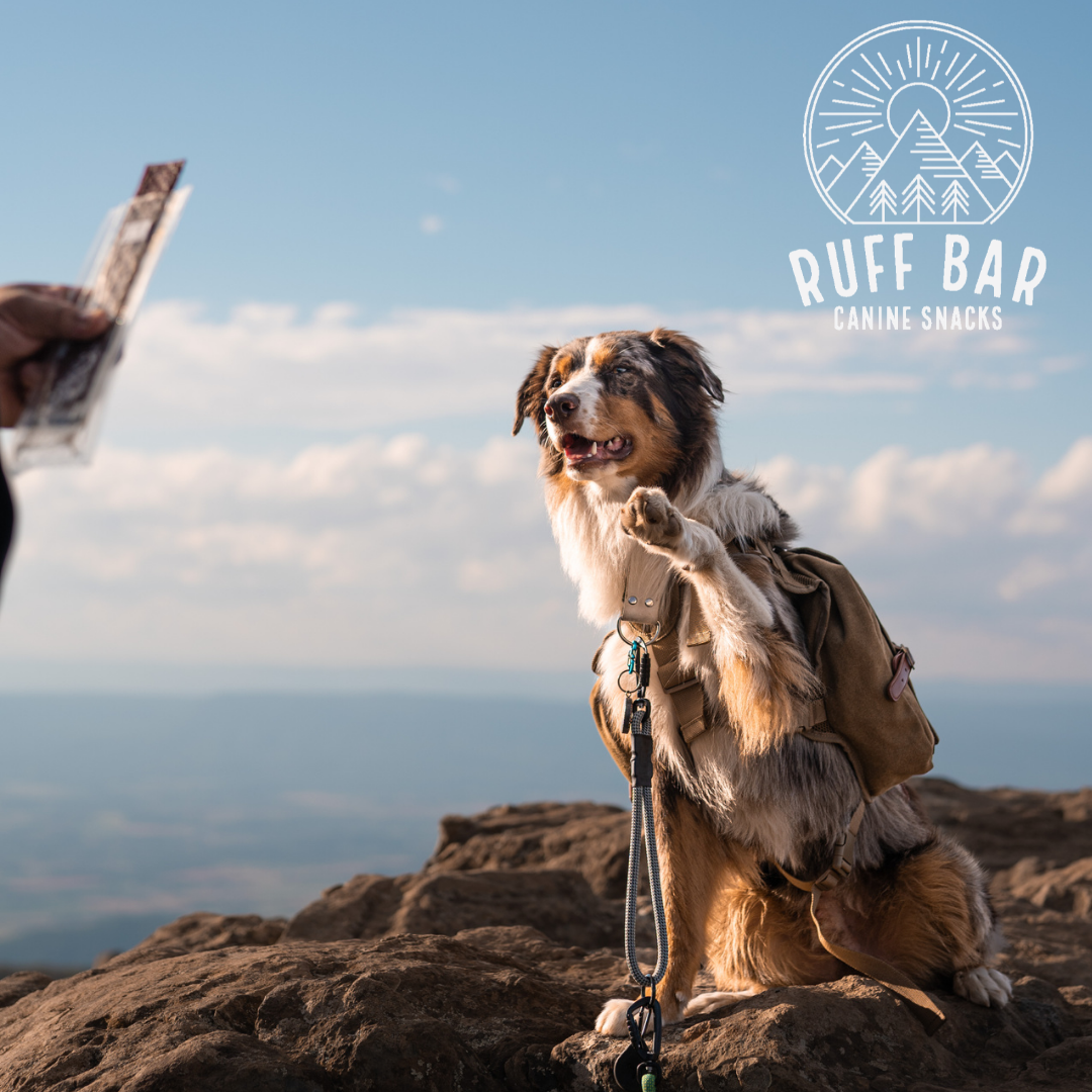 Ruff Bar Products | Real Meat Dog Treats & Food | No Preservatives